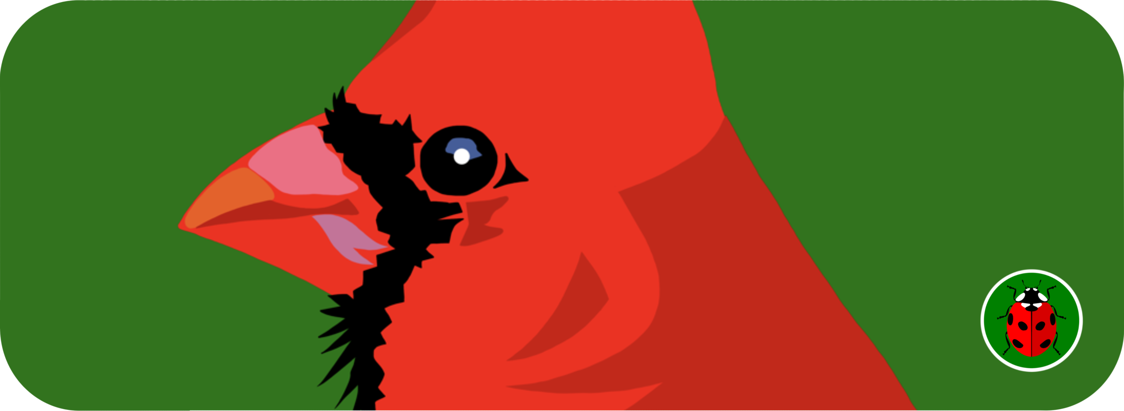Red Cardinal – Bugg